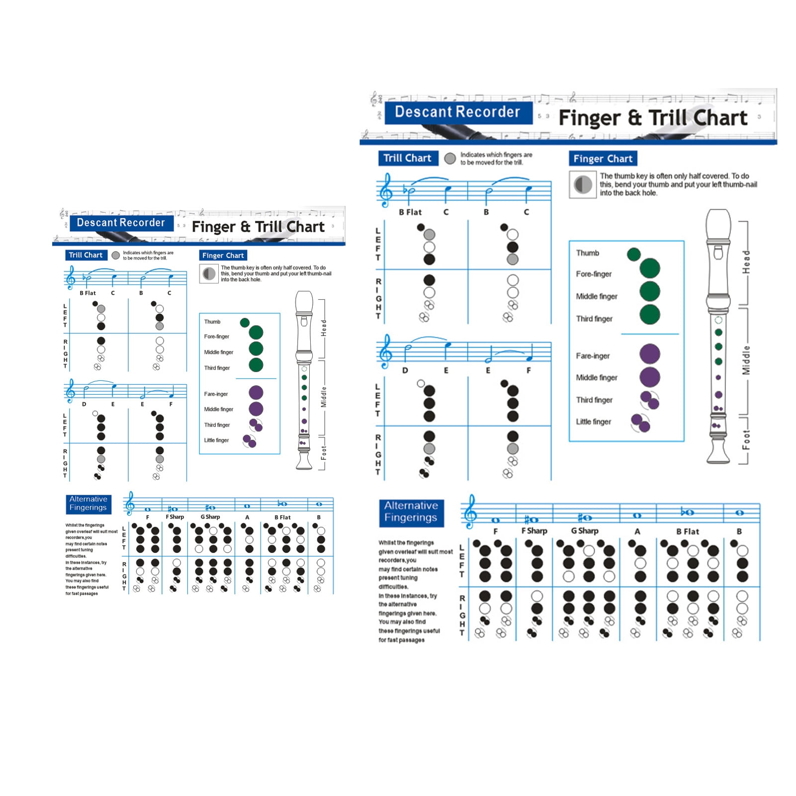 LIVEST Chord Sheet Professional Educational Coated Paper Recorder ...