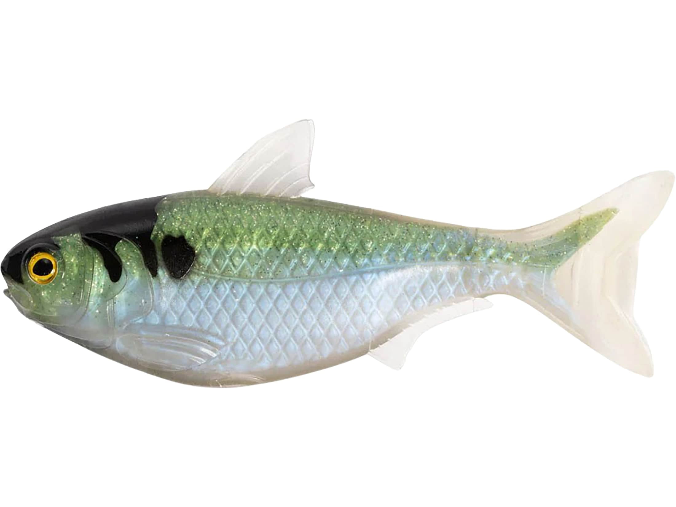 LIVETARGET Shad 5.5" Swimbait Blue/Green - Walmart.com