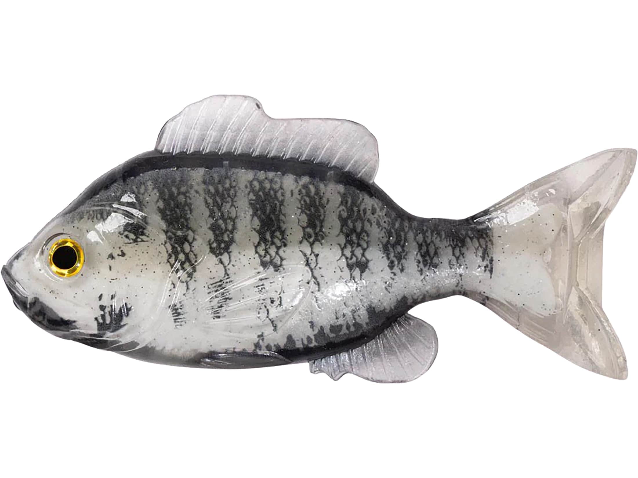 LIVETARGET Sunfish 4.3" Swimbait White/Albino - Walmart.com
