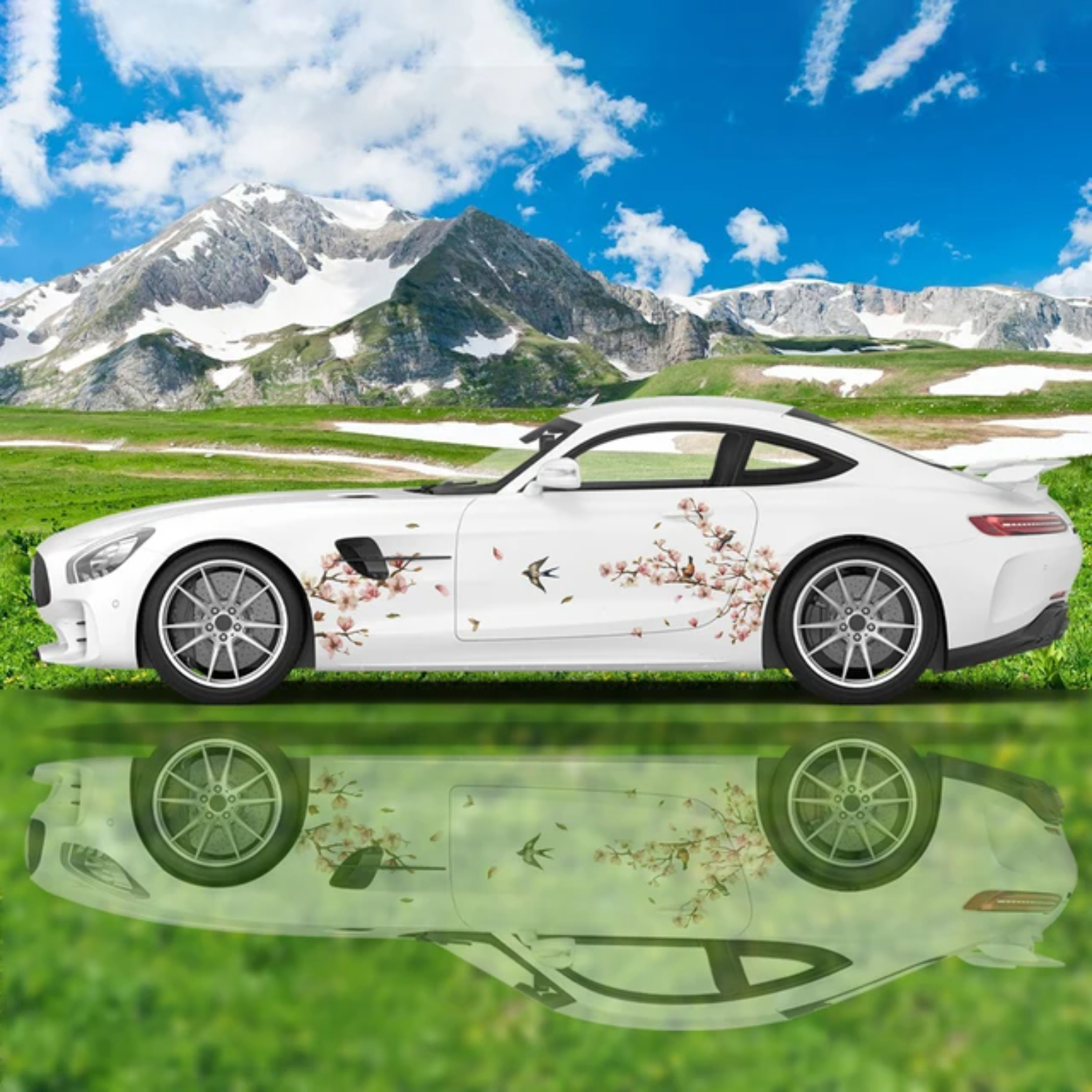 LIXILANG Green Cactus Racing Car Graphic Decal Full Body Vinyl Wrap ...