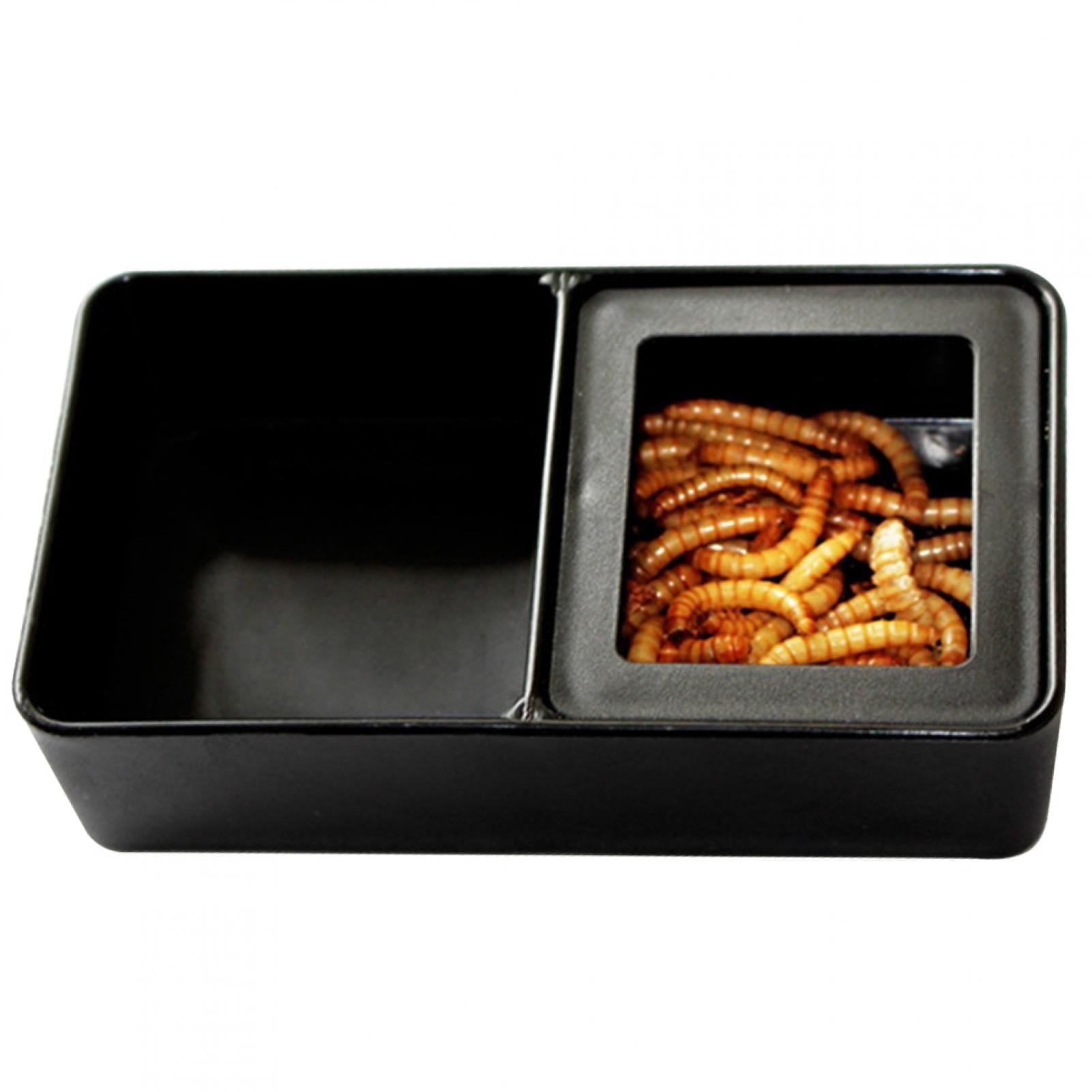 LIZEALUCKY Reptile Food Tray, Double Bowl Worm Water Tray Gourmet ...