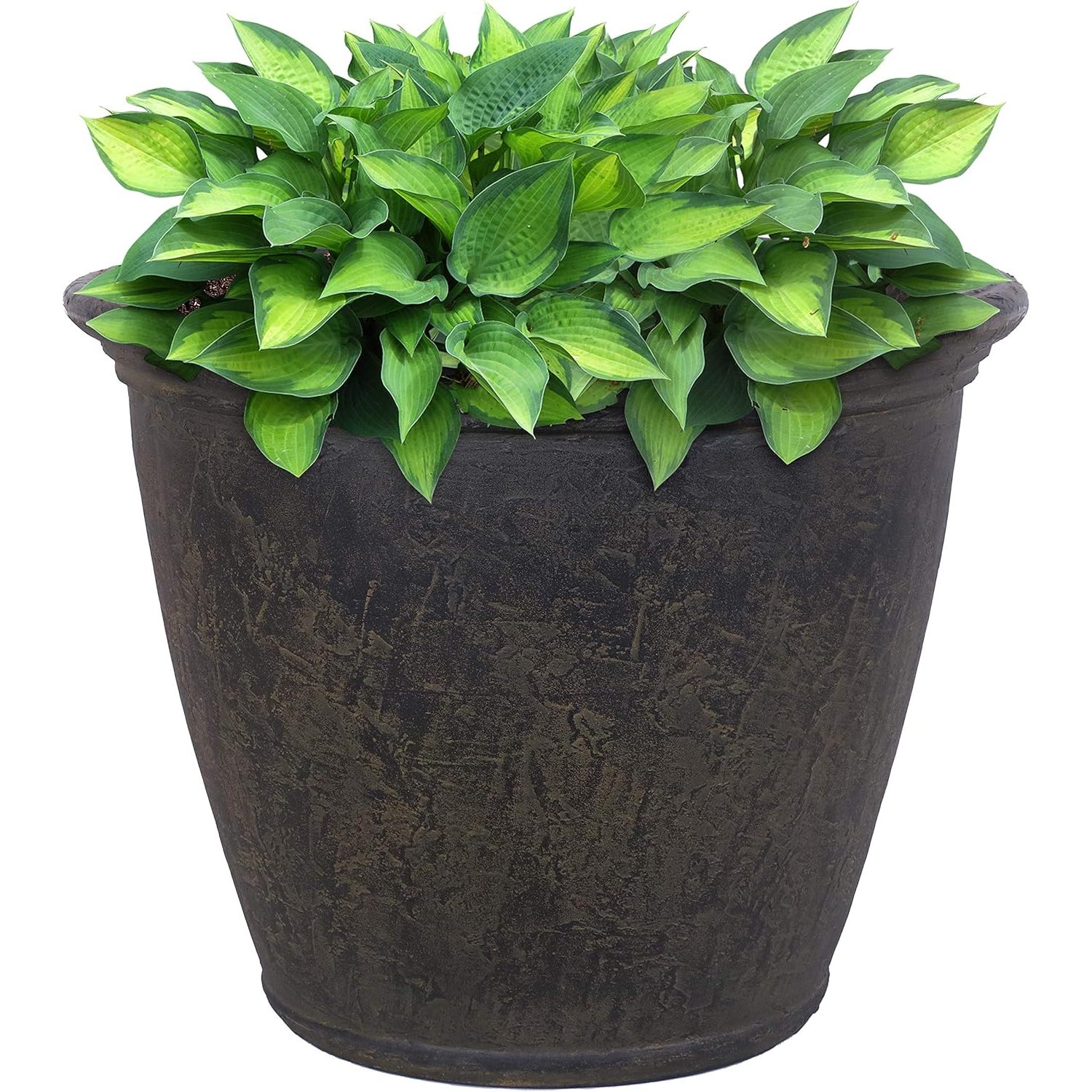 LJCP Anjelica 24" Double-Walled Polyresin Outdoor Planter with UV ...
