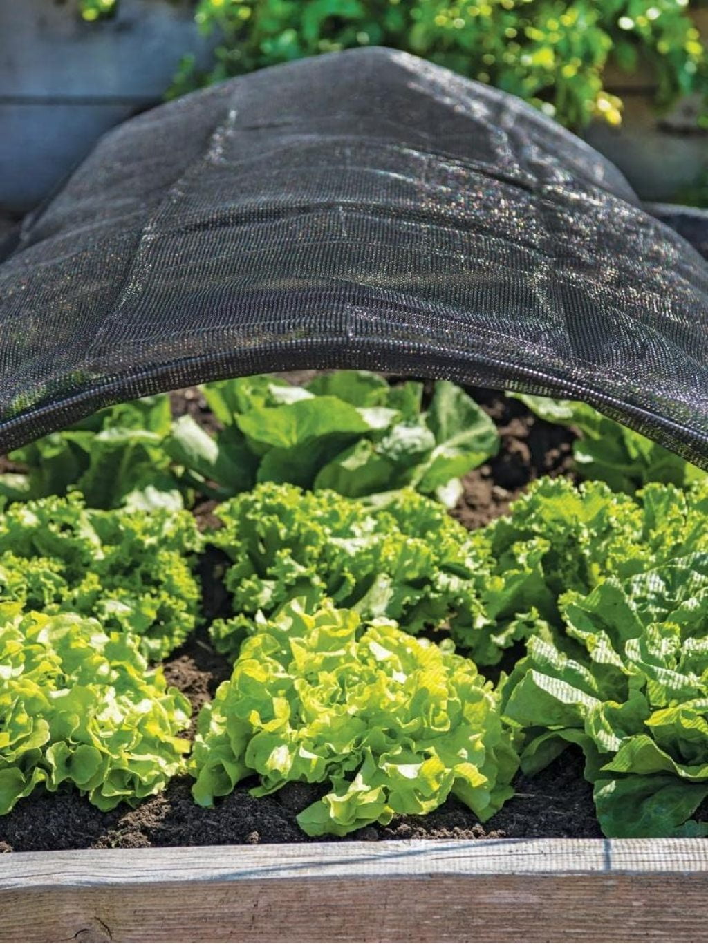 LJSP 6' x 6' Shade Net | Protects Cool-Weather Crops with UV-Stabilized ...