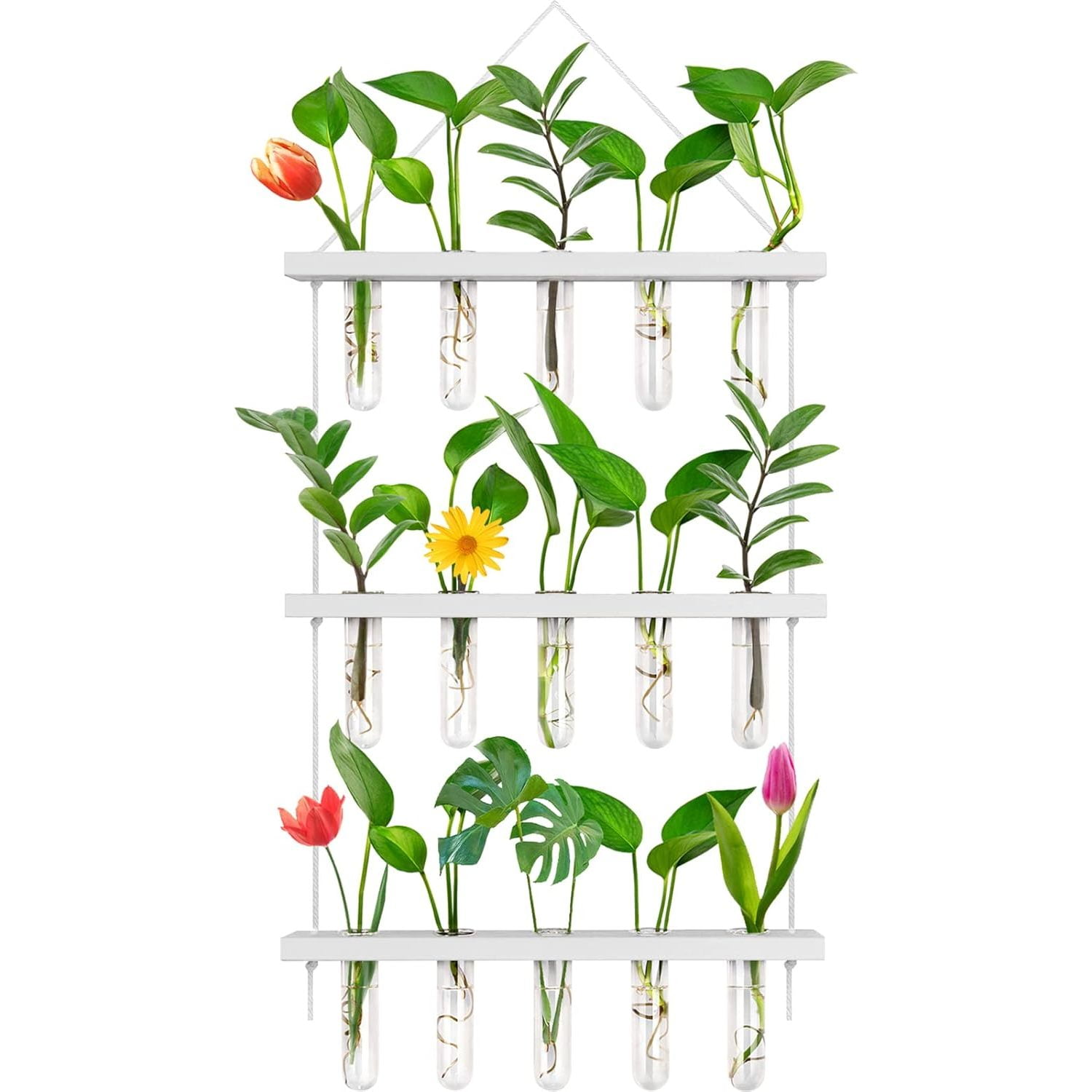 LJSP Plant Propagation Tubes, 3 Tiered Wall Hanging Terrarium with ...