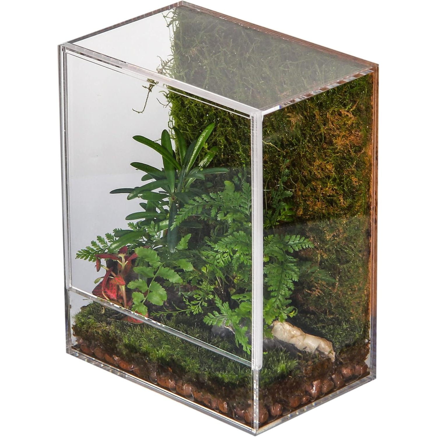 LJSP Rectangle Closed Acrylic Terrarium - 7.8x5.1x9.8 Inches - Clear ...