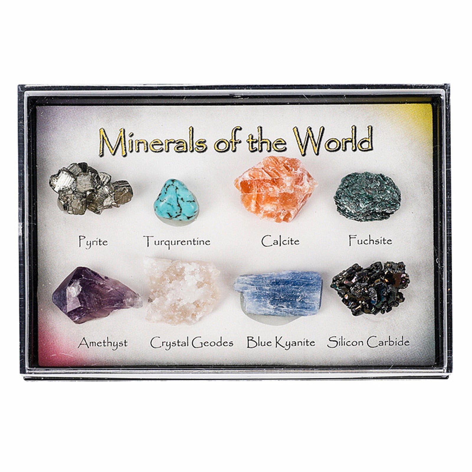 LKWLPD Mixed Natural Specimens Early Education Collection Gift Box ...