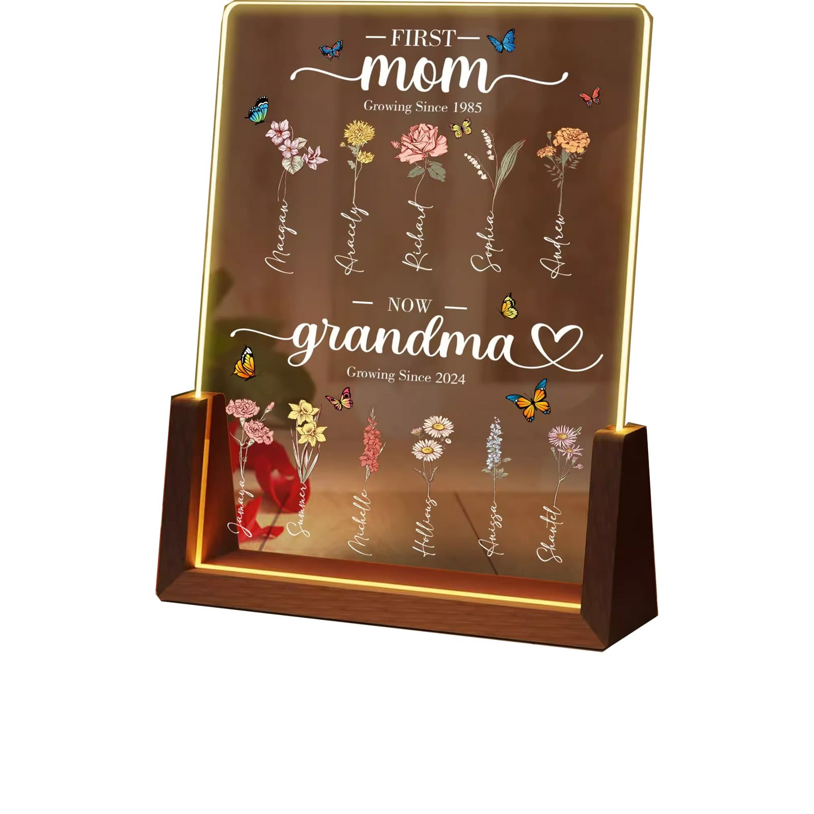 LKWLPD Personalized Mother's Day Birth Flower & Name LED Lamp - Custom ...