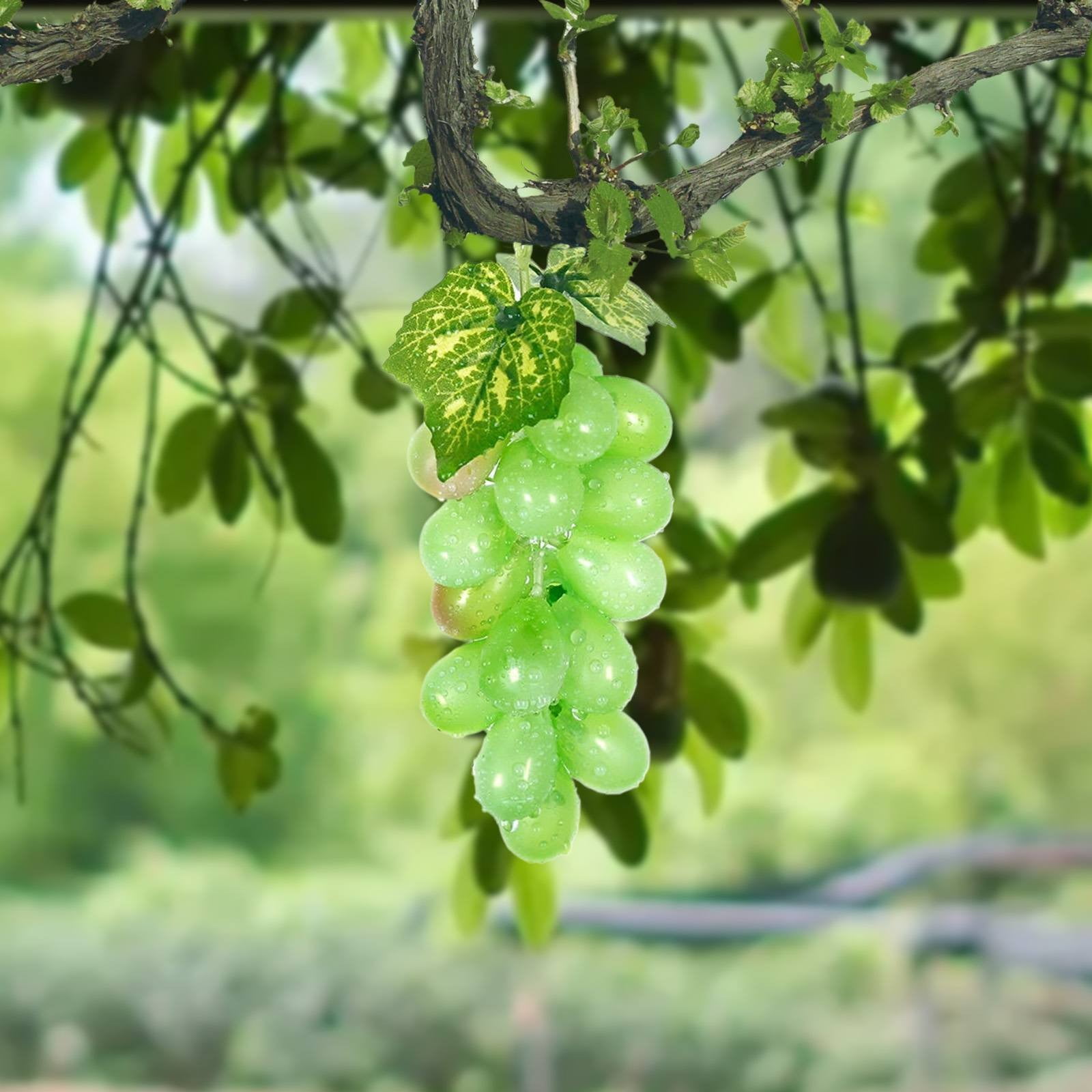 LKZQHMC Fake Grapes, 1 Bunches Plastic Lifelike Grapes Artificial ...
