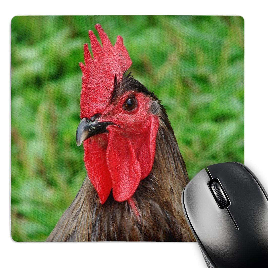 LLC 8 x 8 x 0.25 Inches Blue Rooster by Angle and Spot Mouse Pad (mp ...