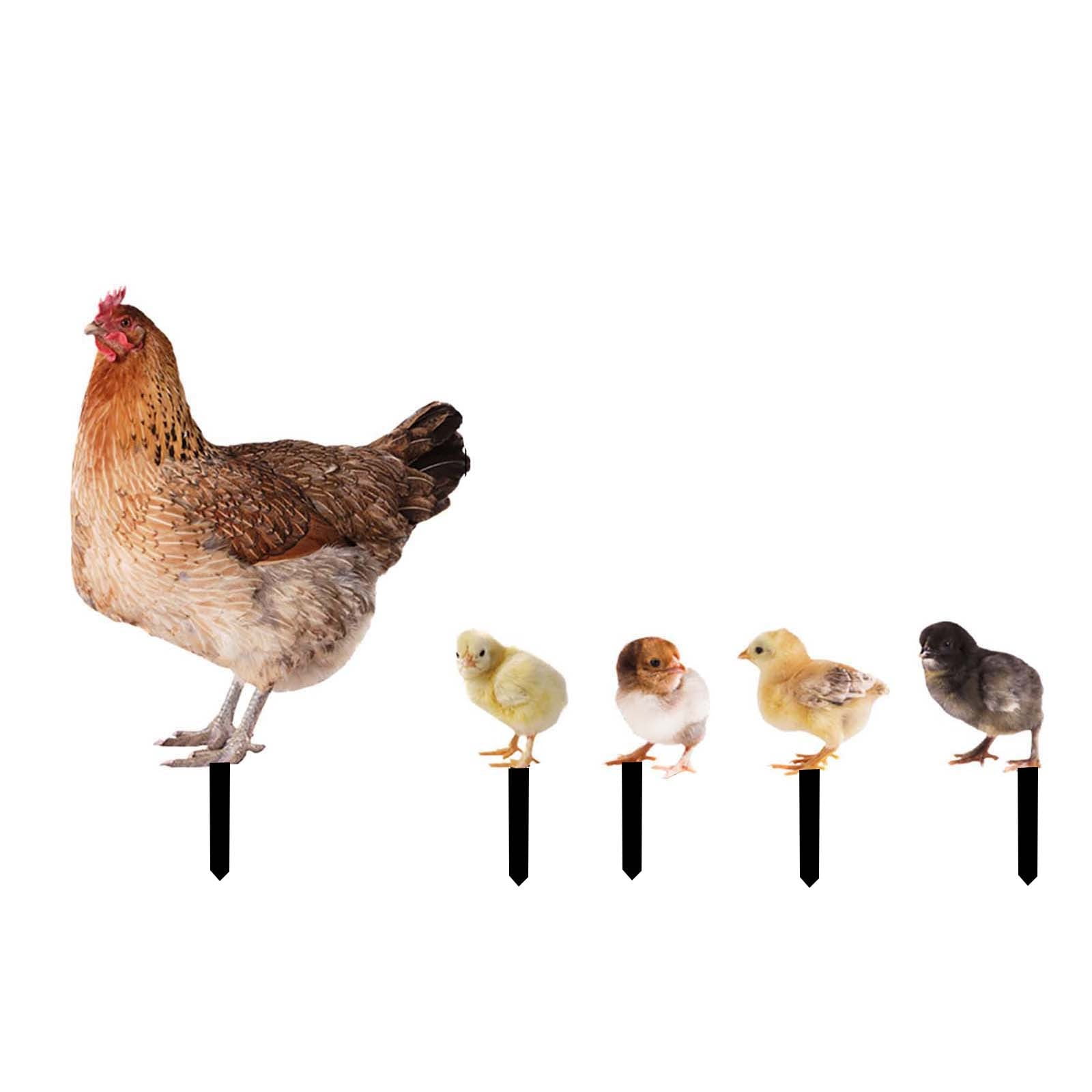 LMTODLFG 1 Set 5 PC Hen Chick Ground Plug Yard Decor Yard Sign ...