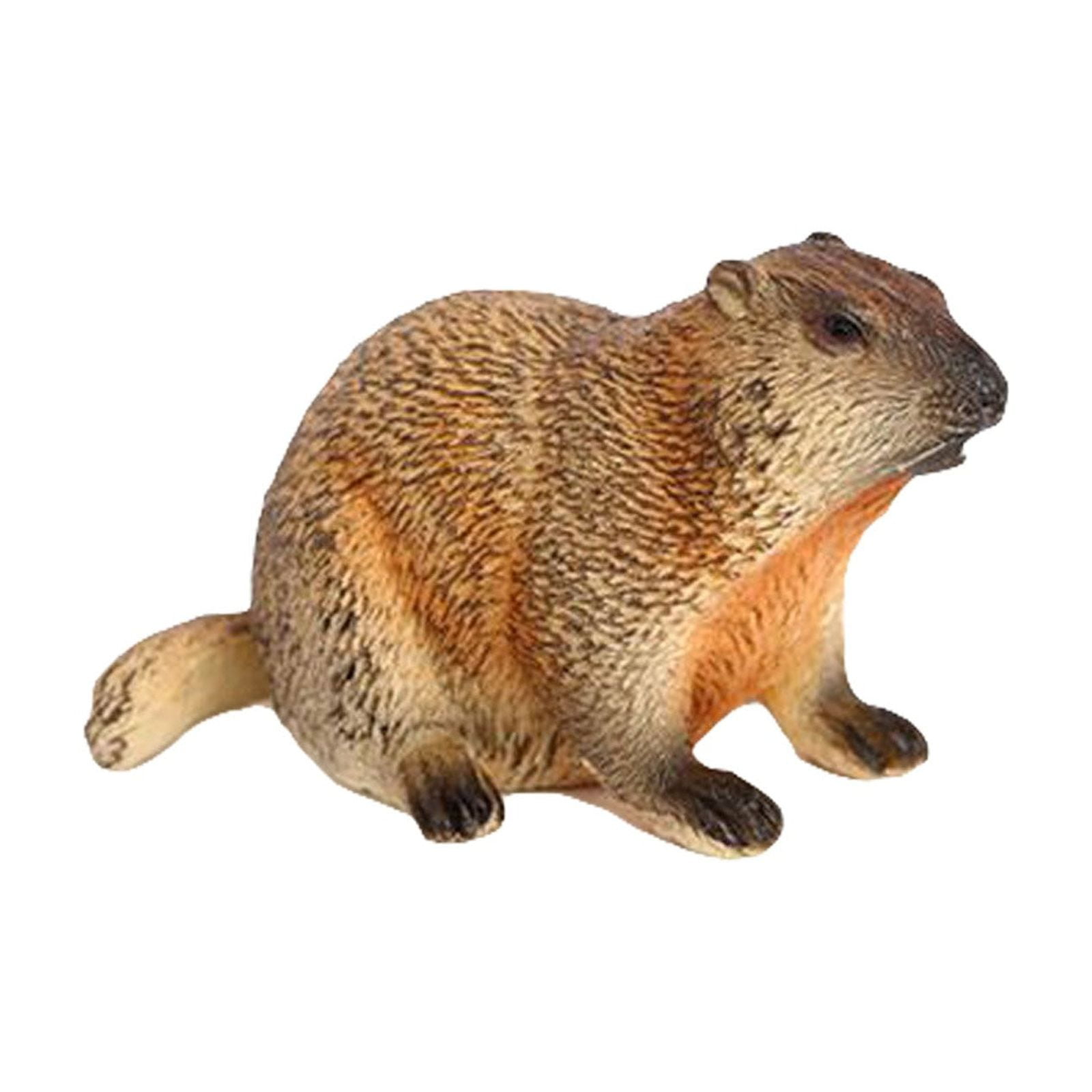 LMTODLFG Groundhog Figurine Groundhog Sculpture Groundhog Model Animal ...