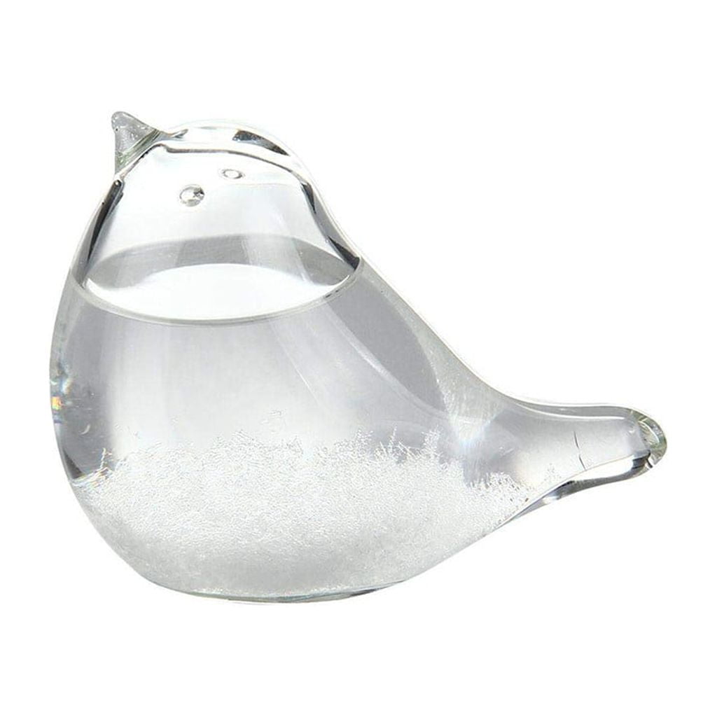 LMTODLFG Storm Glass Weather Forecaster Weather Predictor Barometer ...