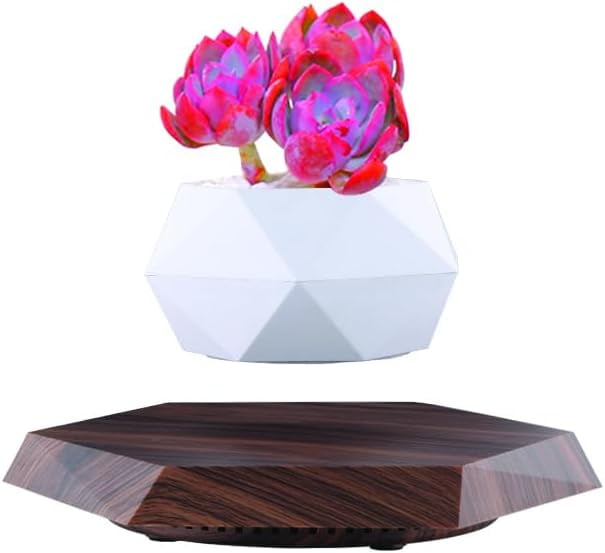 LMingKun Levitating Plant Pot - Floating Plant Pot for Small Plants ...
