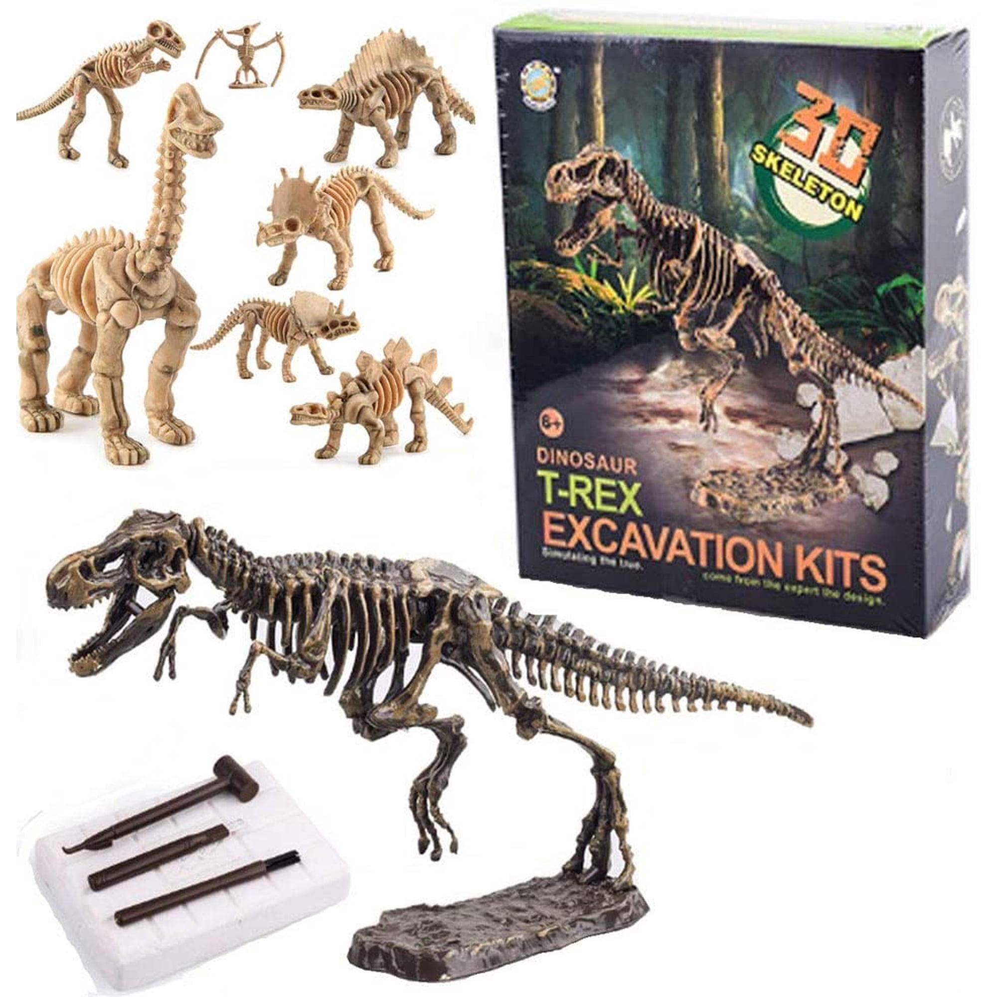 Paleontology Dig
