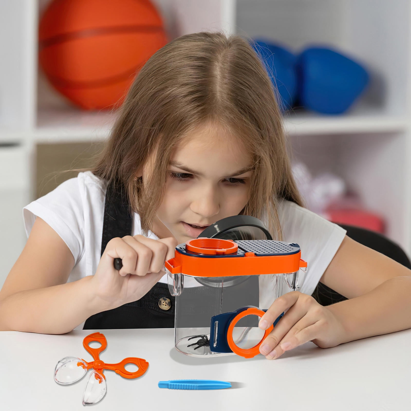 LOLIPPYY 1 Set Insect Collectors' Boxes For Kids With Magnifying ...