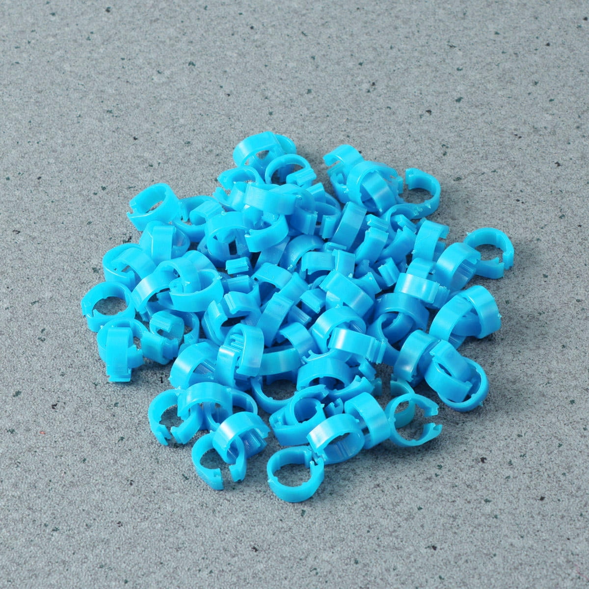 LOLIPPYY 100 Pcs Birds Identification Rings Plastic Blue for ...