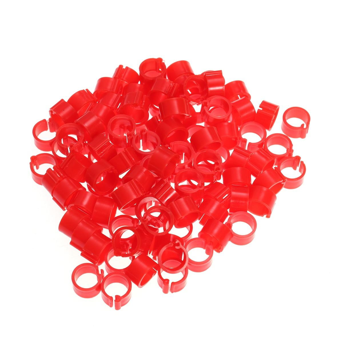 LOLIPPYY 100 Pcs Orange Bird Foot Rings for Identification and ...