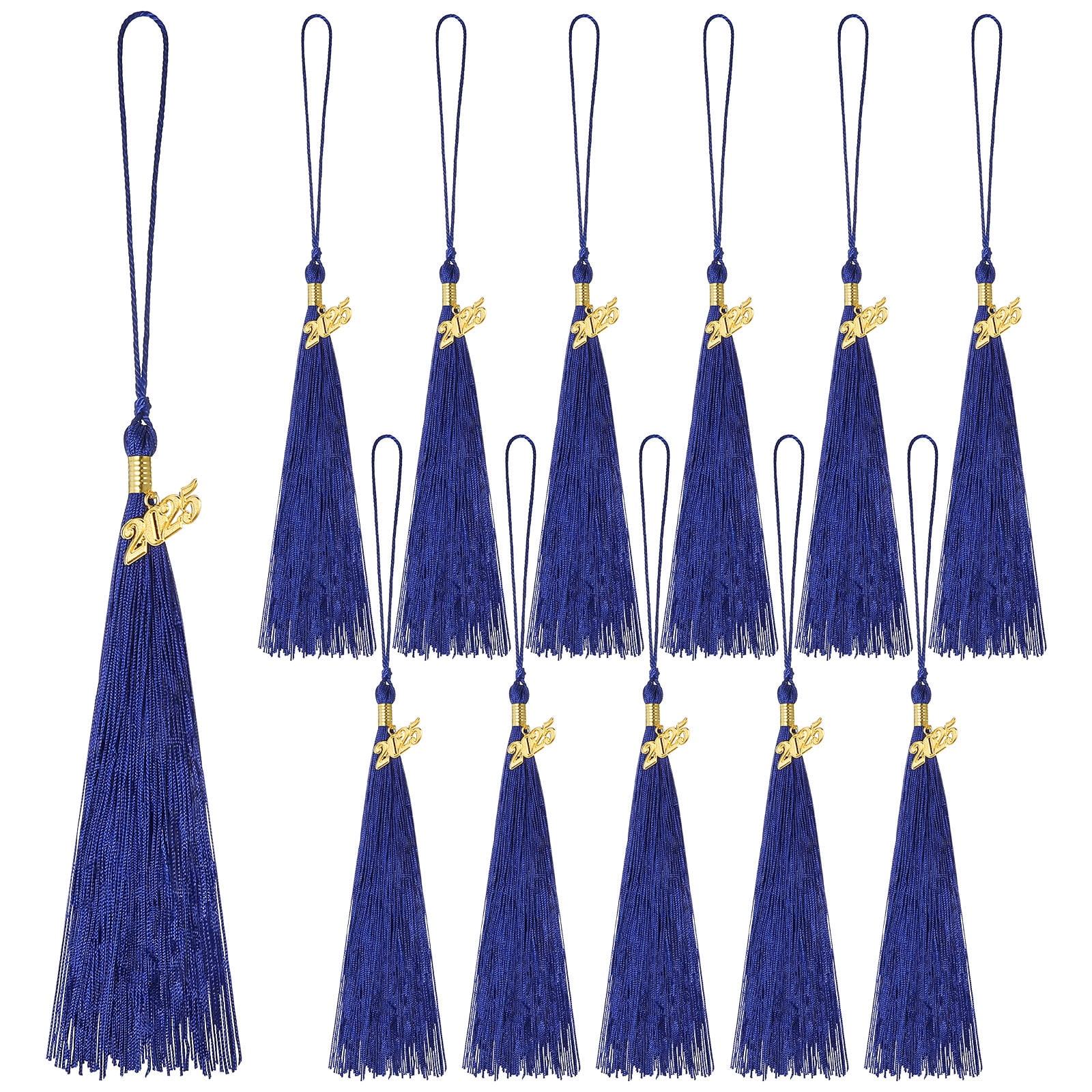 LOLIPPYY 12pcs Graduation Party Supply Graduation Cap Tassels Blue ...