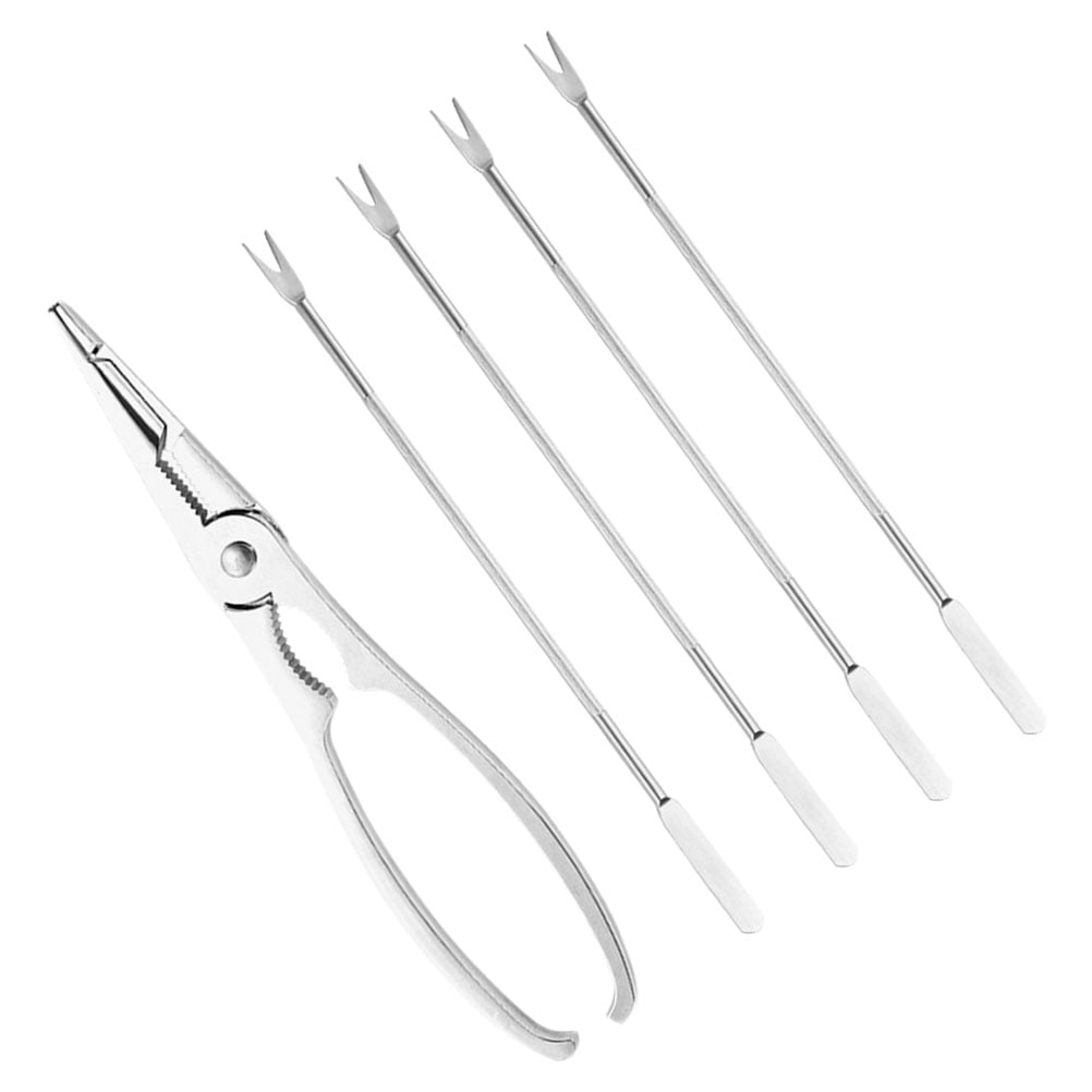 LOLIPPYY Stainless Steel Crab Leg Forks for Seafood, Set of 5 Picks ...