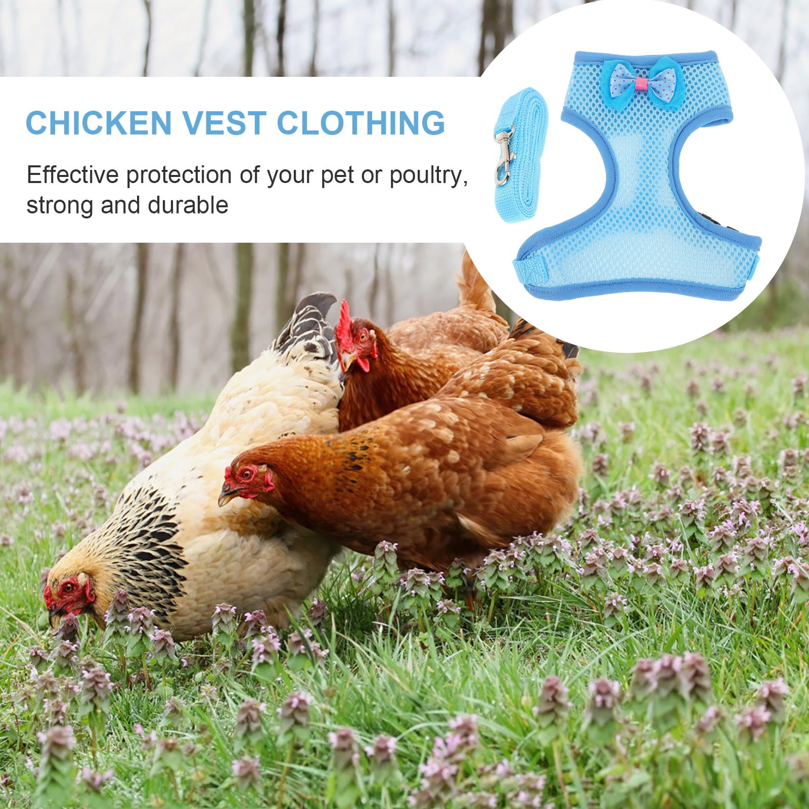 LOLIPPYY 1Set Sky Blue Pet Rooster Harness with Durable Leash Chain for ...