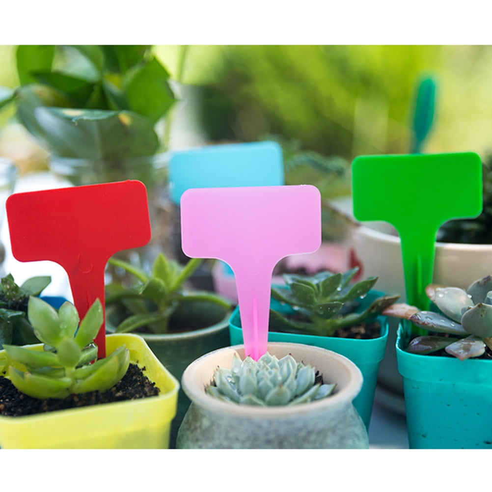 LOLIPPYY 200Pcs T Shaped Plant Tag for Gardeners in 6x10in Size in ...