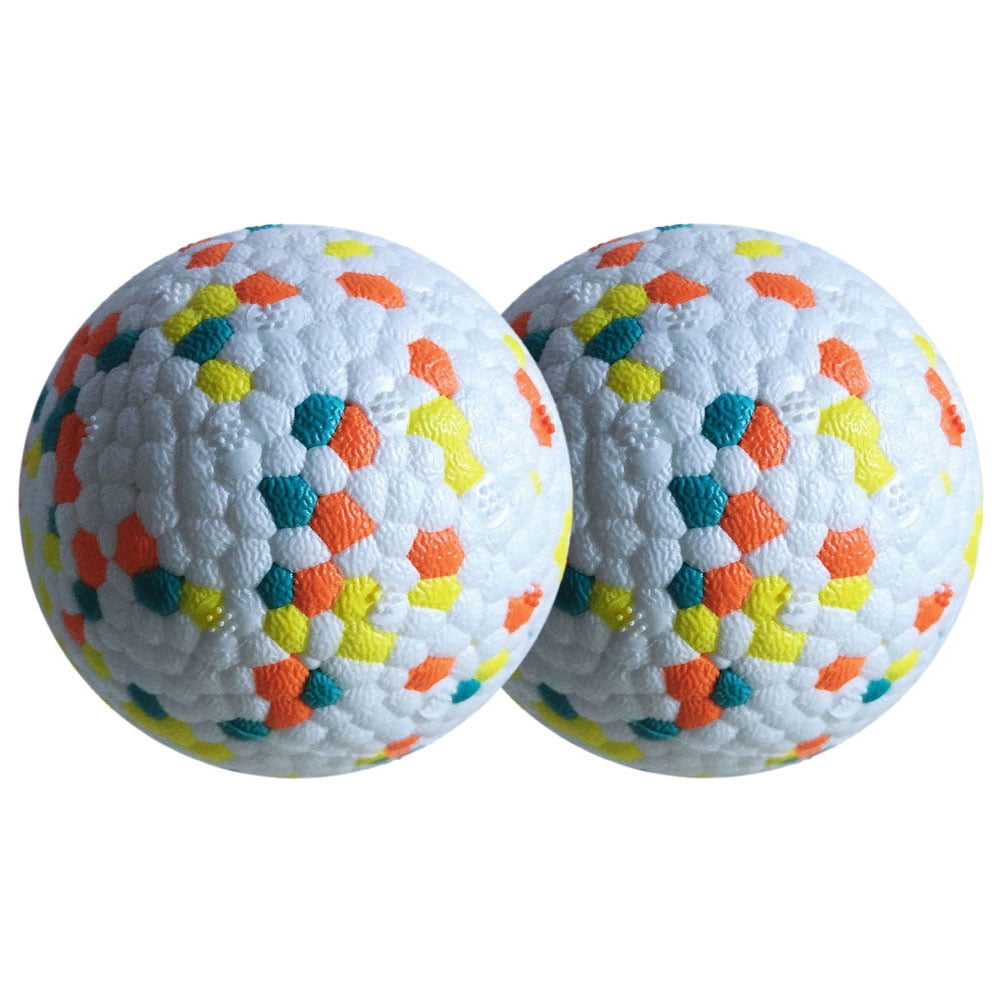 LOLIPPYY 2Pcs Indoor Puppy Chewing Balls Assorted Colors Dog Balls for ...