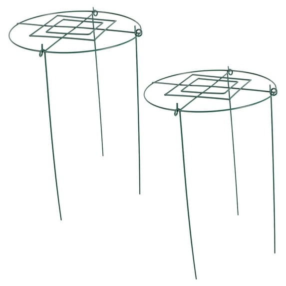 LOLIPPYY 2Pcs Iron Vine Climbing Frame for Climbing Plants with Strong ...