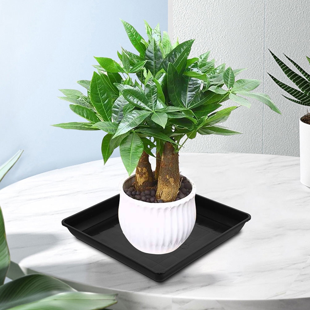 LOLIPPYY 3Pcs Indoor Pot Plates Black Plastic Drip Tray Simple Design ...
