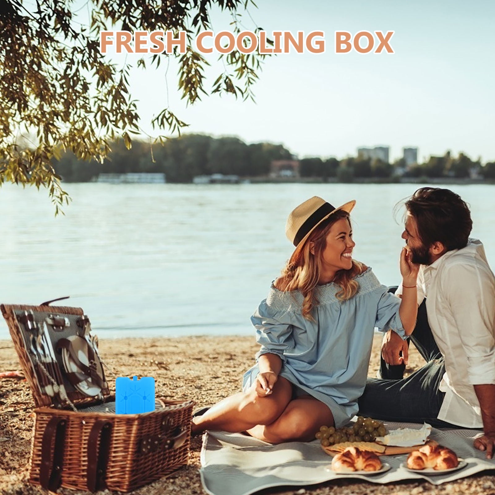 LOLIPPYY 4Pcs Portable Reusable Ice Packs for Cooler Box and Picnic ...