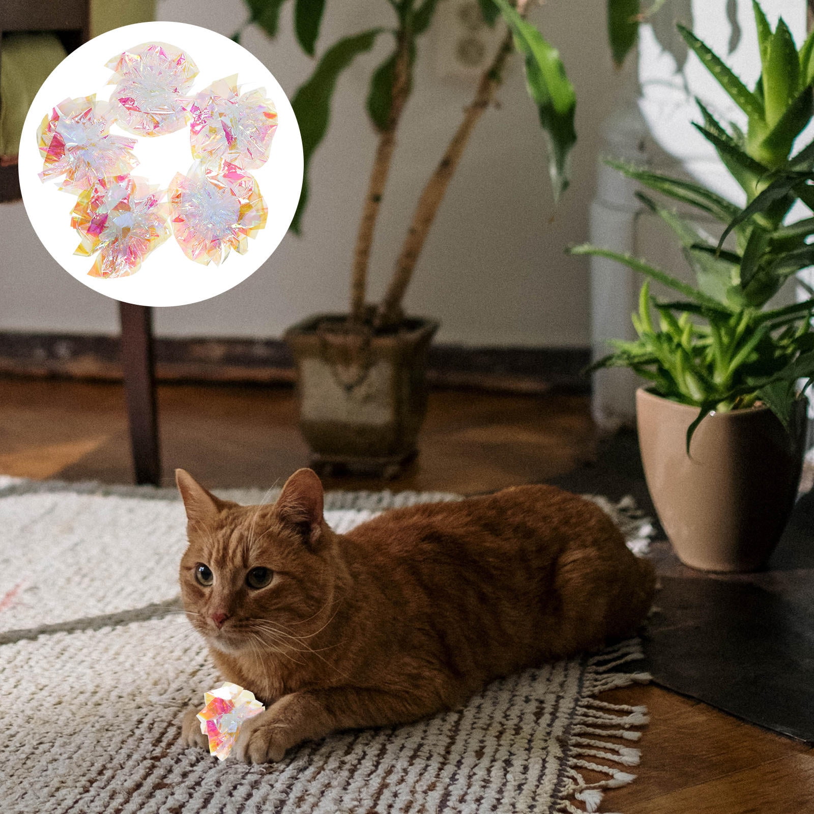 LOLIPPYY 5Pcs Cat Teasing Toy Featuring Round Shape for Cat Exercise ...
