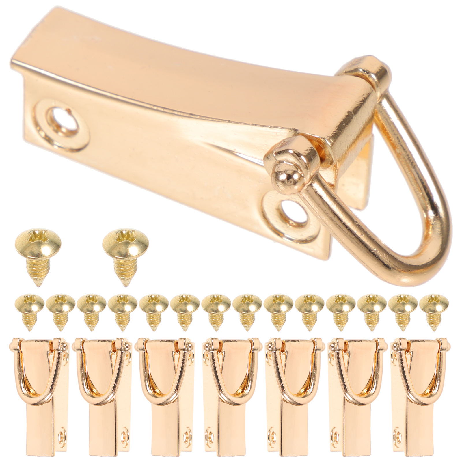 LOLIPPYY Golden Metal D- Buckles for Crafting Purses, Backpacks, Dog ...