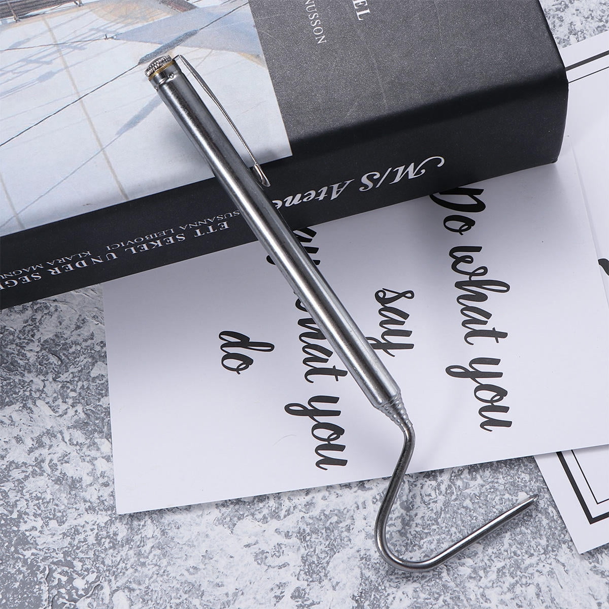 LOLIPPYY Adjustable Professional Snake Hook Retractable for Safe ...