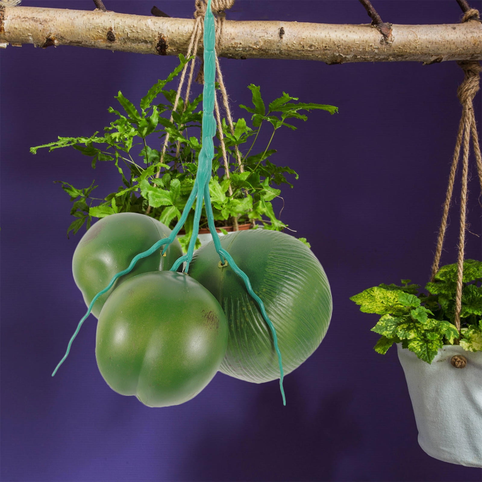 LOLIPPYY Artificial Green Coconut Fruit Decor Set, Plastic Fake Fruit ...