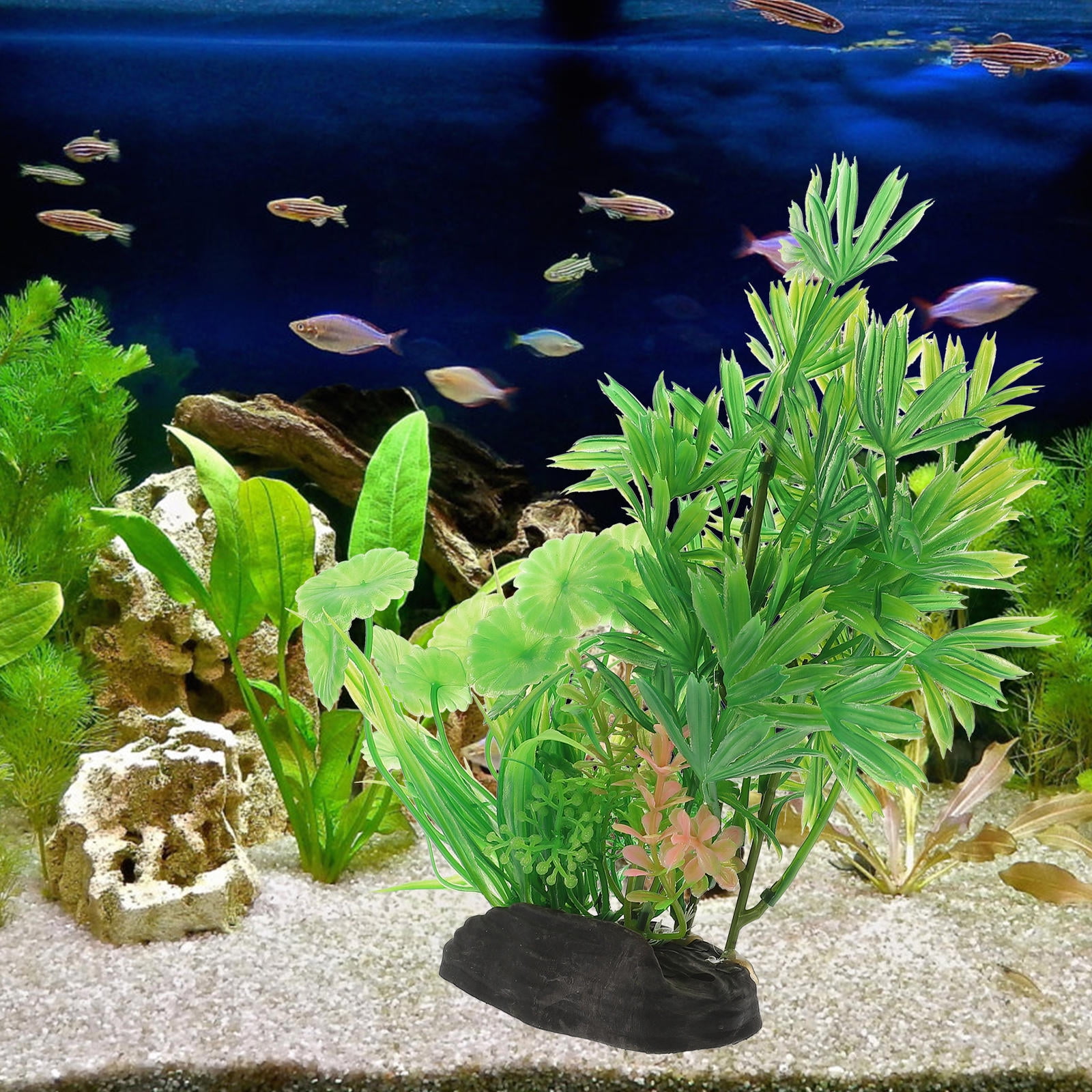 LOLIPPYY Decorative Aquatic Plants Fish Tank Plant Simulation Plant Set ...