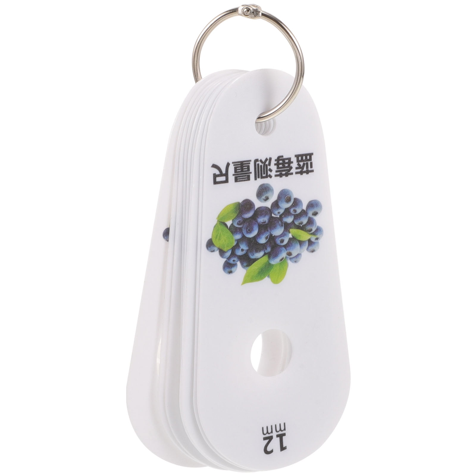 LOLIPPYY Fruit Measuring Ruler Blueberry Diameter Gauge Plastic 1 Set 3 ...