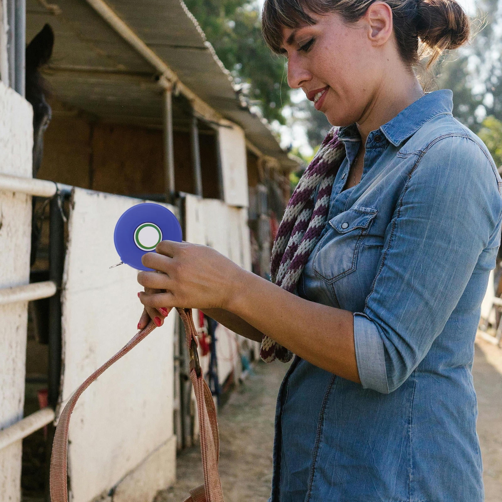 LOLIPPYY Plastic Goat Weight Tape for Ranching Livestock Management - 1 ...