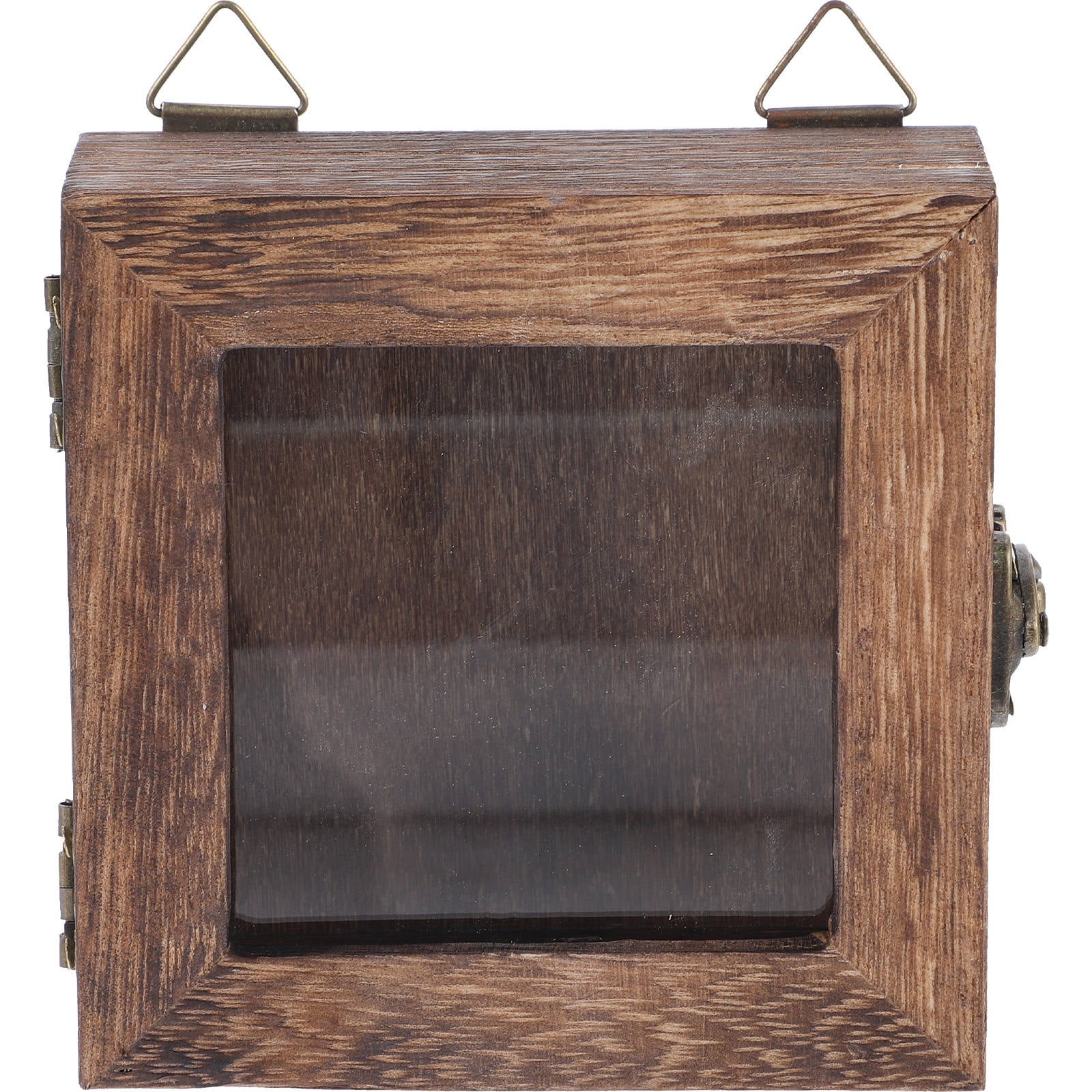 LOLIPPYY Insect Specimen Display Case Box 1Set Wooden Square Minimalist ...
