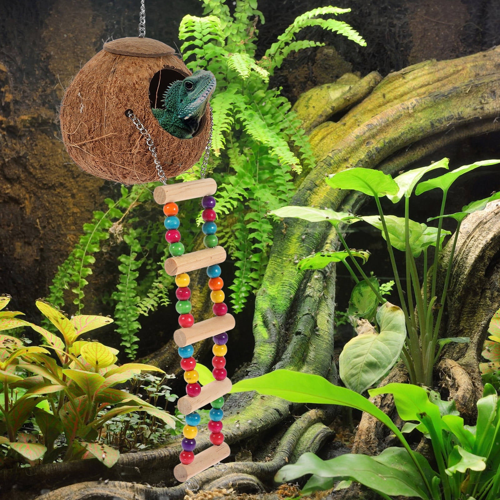 LOLIPPYY Natural Design Hanging Reptile House Wood for Reptiles 1 Set ...