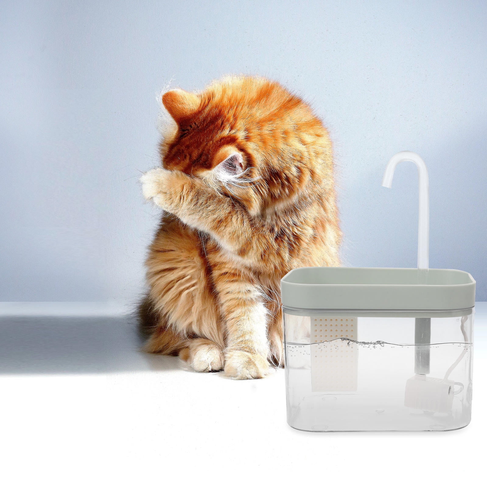 LOLIPPYY Smart Pet Drinking Fountain Plastic Automatic Water ...