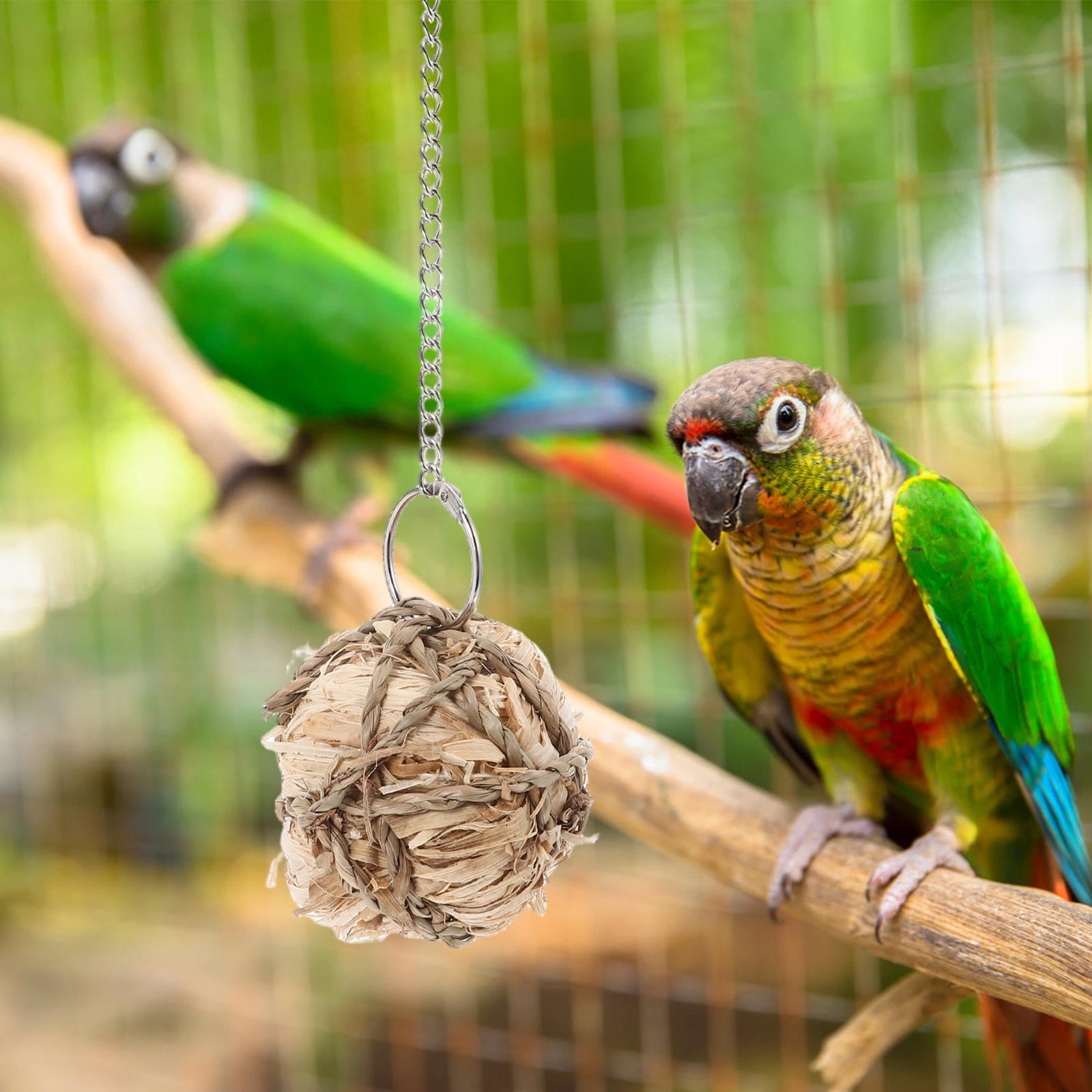 LOLIPPYY Stress Relief Rattan Ball Parakeet Toy Set Multi Chewing Cage ...