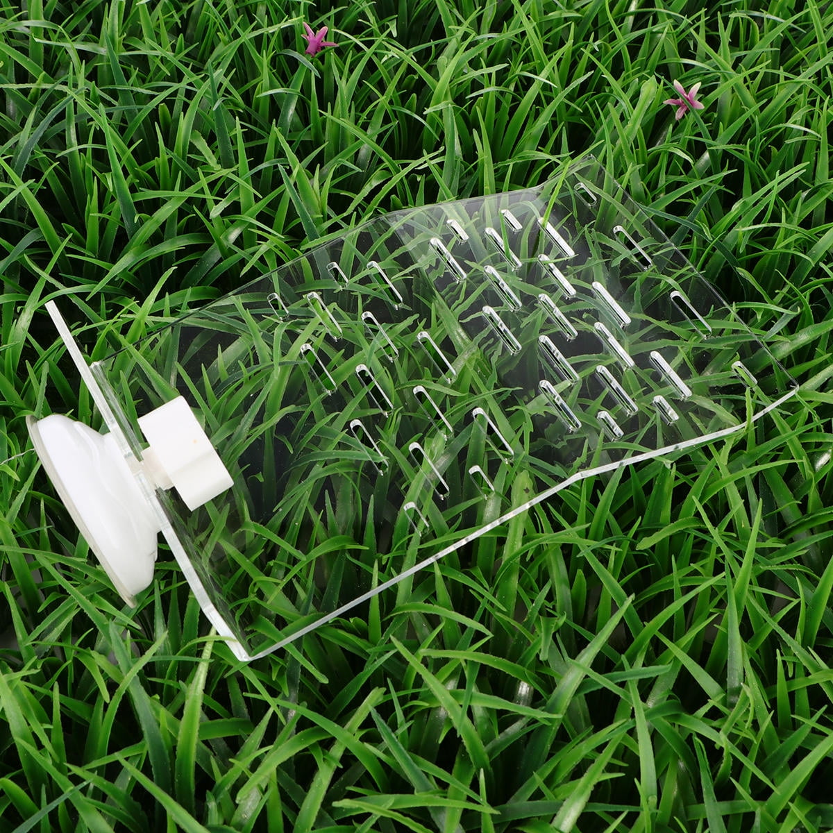 LOLIPPYY Turtle Tank Ramp 1Pcs Transparent Climbing Platform for ...