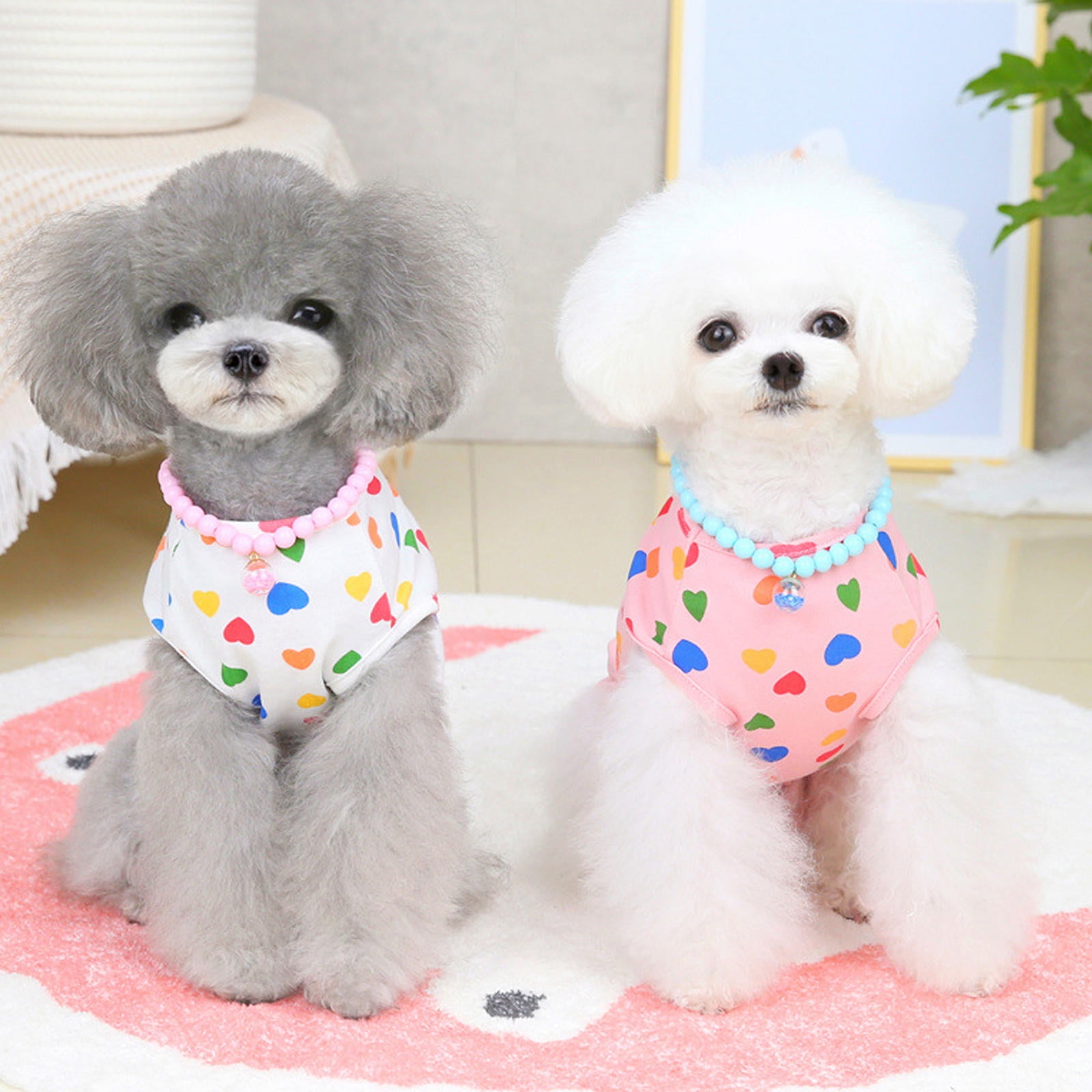 LOLIPPYY Cat Costume Set Cotton Sweet Design for Photography and Dress ...