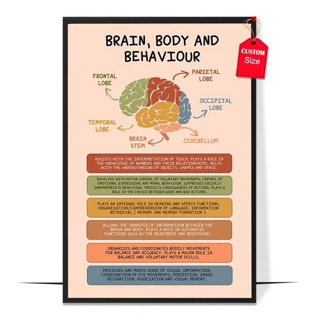 LOLUIS Brain Anatomy and Psychology Poster, Boho Therapy Office Decor ...