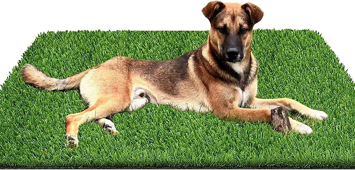 LOMANTOWN Turf Grass for Dogs Artificial Fake Grass Pad Trainer, 5 x 6. ...