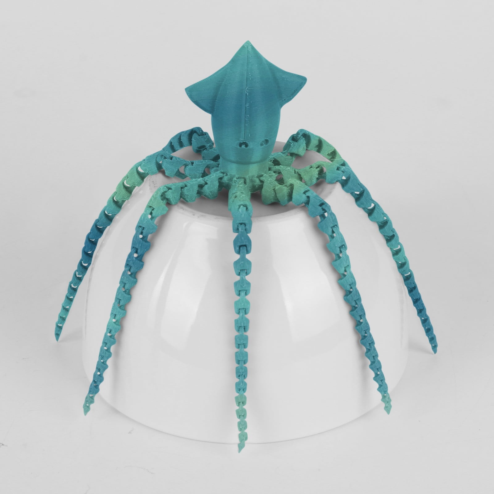 LOONLAI 3D Printing Cuttlefish 3D Printing Articulated Cuttlefish Toy ...