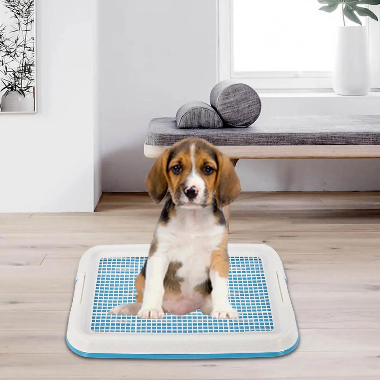 LOPNGLG Easy-to-Clean Removable Dog Potty Toilet Training Tray for ...