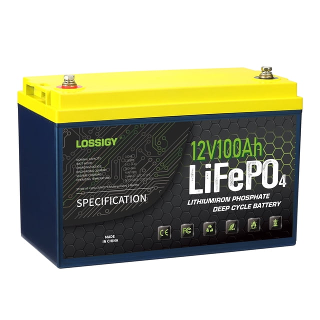 LOSSIGY 12V 100AH LiFePO4 Deep Cycle Group 31 Lithium Battery with Low ...