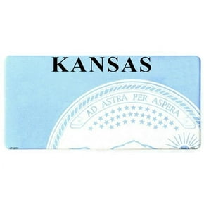 license plate blanks