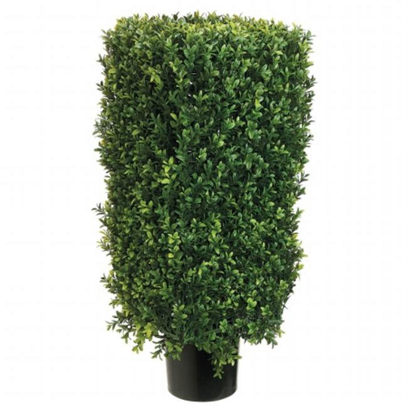 LPB232-GR-TT 30 in. Rectangular Boxwood Topiary in Plastic Pot Two Tone ...