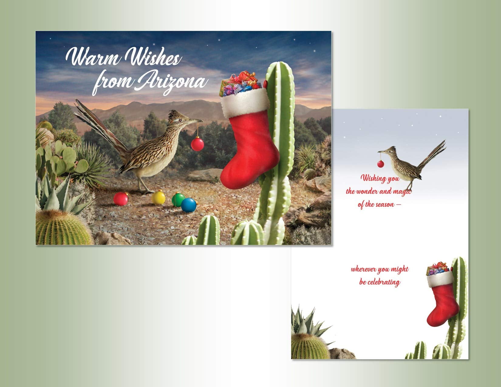 LPG PERFORMING ARTS BOXED CHRISTMAS CARD SET Warm Wishes Arizona Set of ...